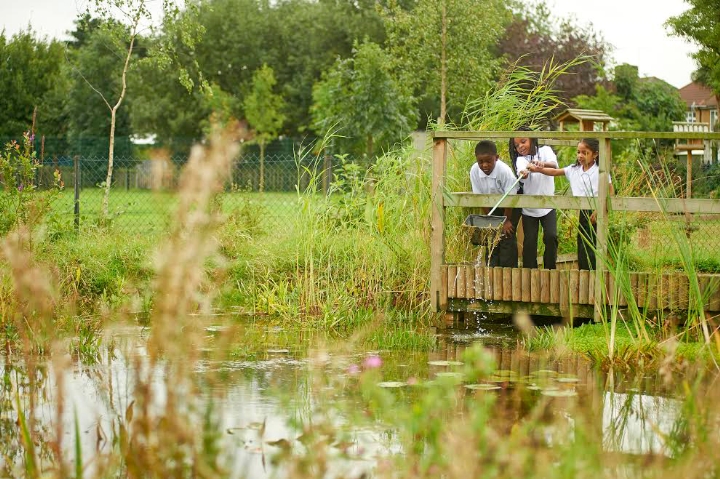 Hazelbury Primary School - Tes Jobs