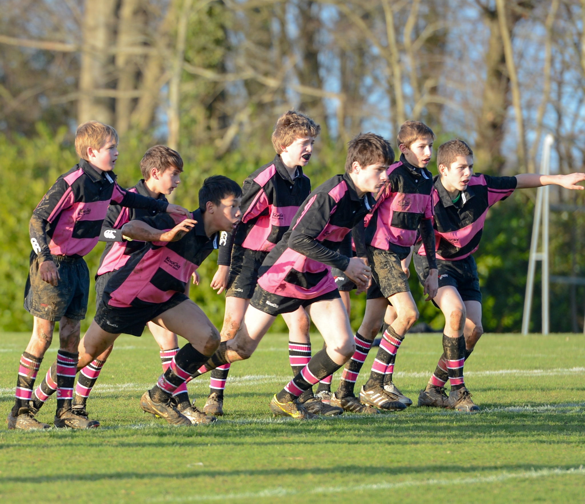 Brambletye - Tes Jobs